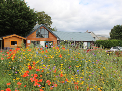 Kildare County Council - Library & Arts